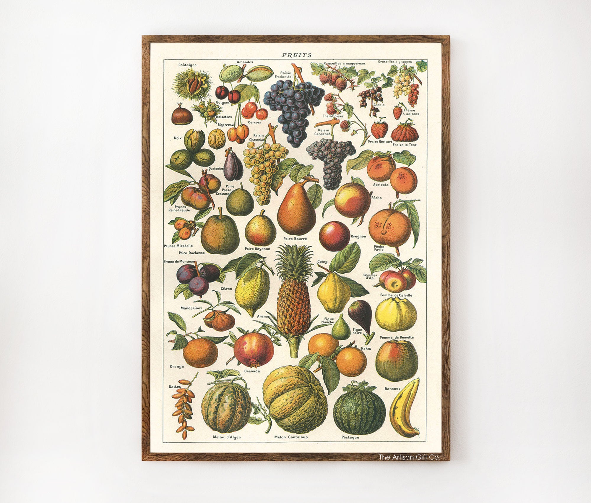 Cavallini & Co. Poster - Fruits Vintage Wall Print – The Artisan Gift Co.