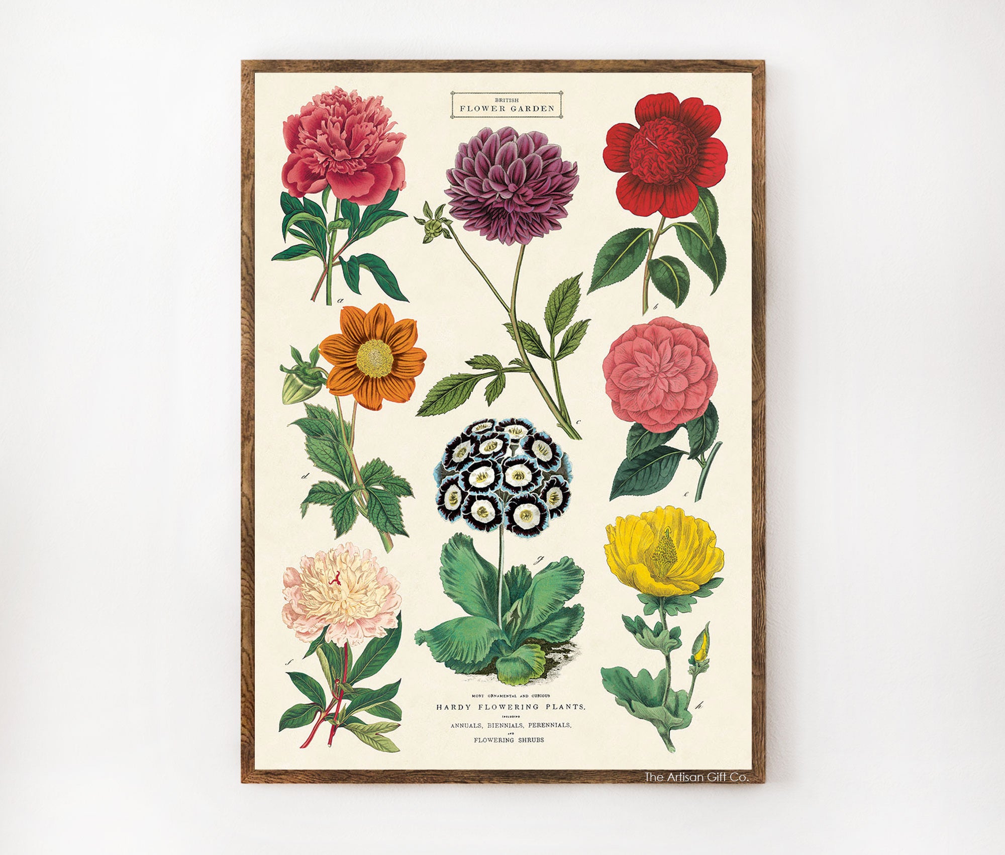 Cavallini & Co. Poster - British Flower Garden Vintage Wall Print – The ...