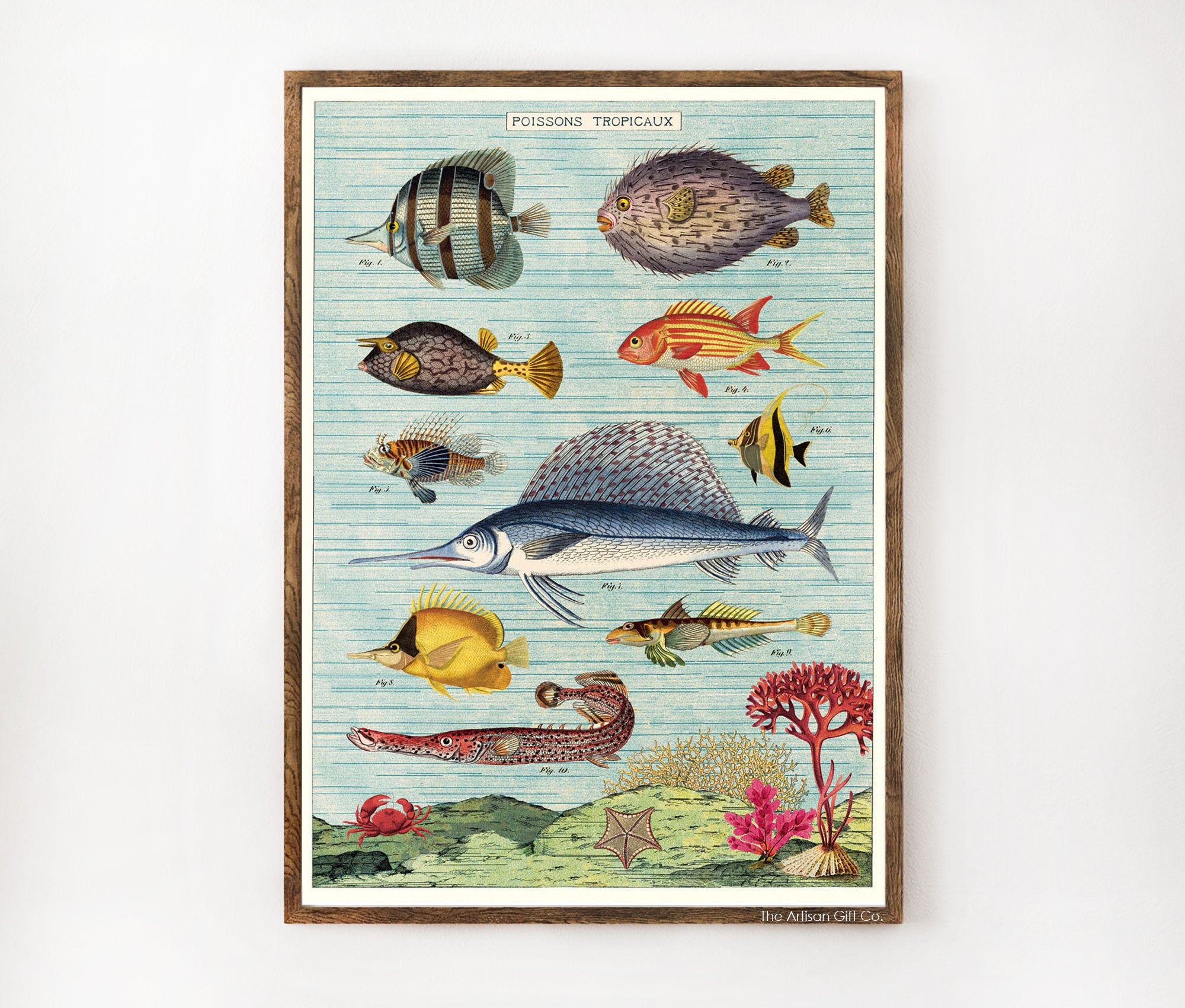 Cavallini & Co. Poster - Poissons Tropicaux Tropical Fish Vintage Wall ...